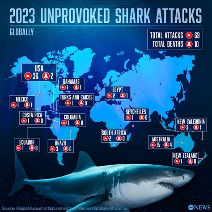 Shark Eat Leg: Understanding the Risks and Reality of Shark Attacks ...